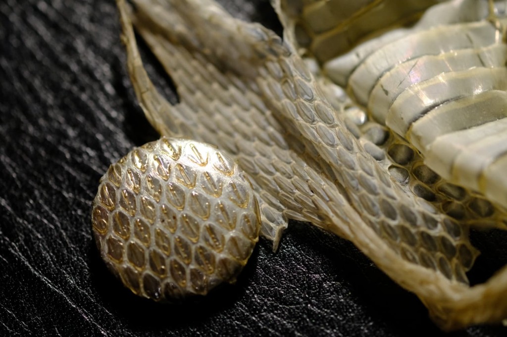 【これで現状から脱皮！？】Snake molt 蛇の抜け殻（縁起物・強い生命力・御利益） - ロック系・革ジャン・ハット・革製品オーダー専門 ...